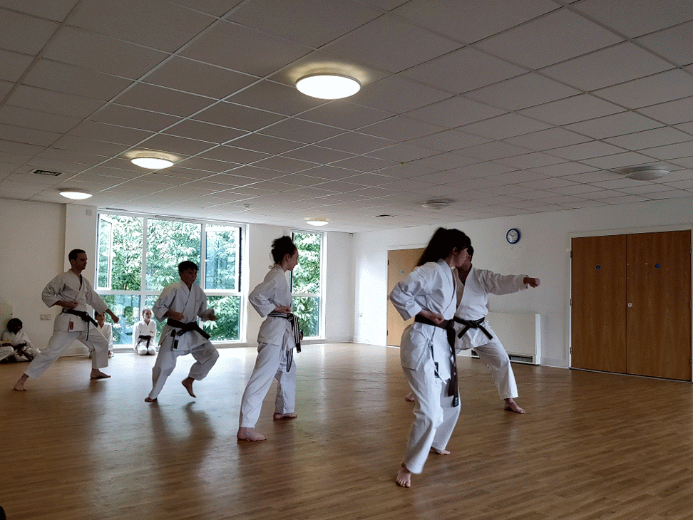 IMG_20170923_101207-ANIMATION – Senshi Karate